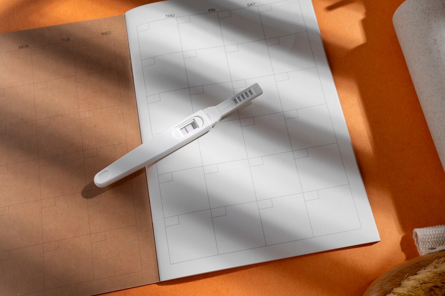 Fertility Test — How to Determine Your Level and Ways to Enhance It